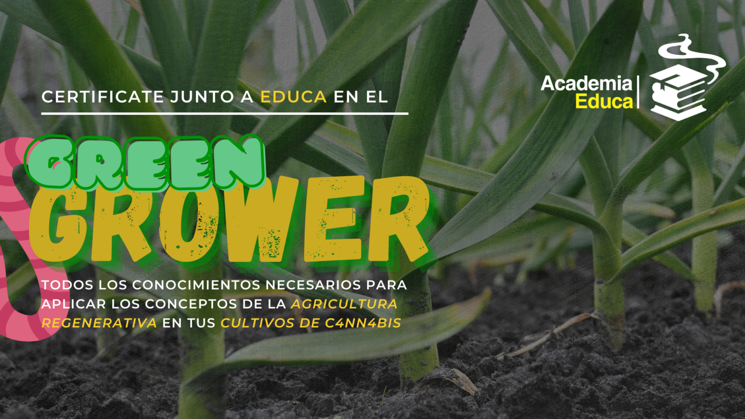 Clases en vivo – Academia Educa